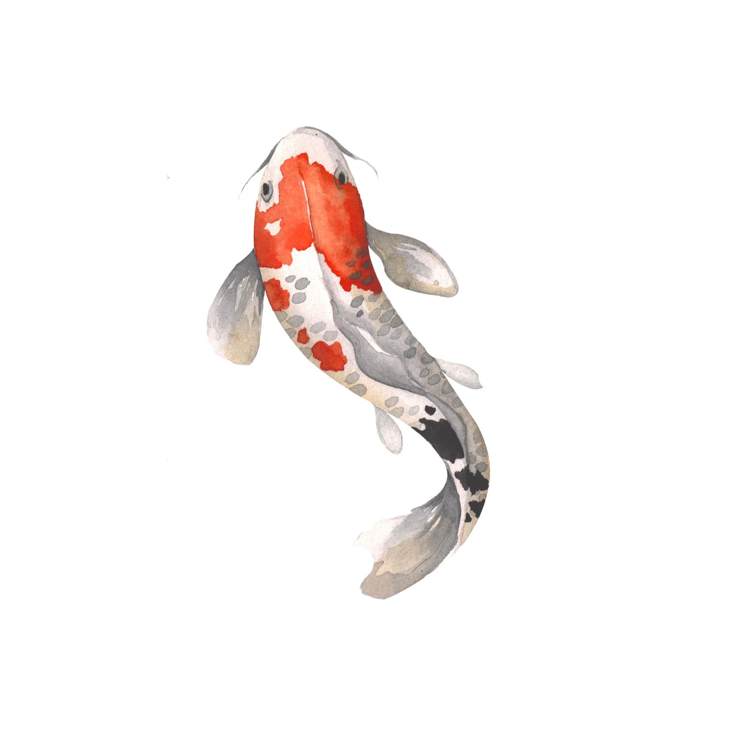 Mythological Sea Creatures from around the Globe | Hachette UK